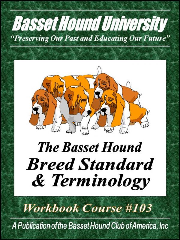 Basset Hound Club of America Official Breed Standard & More