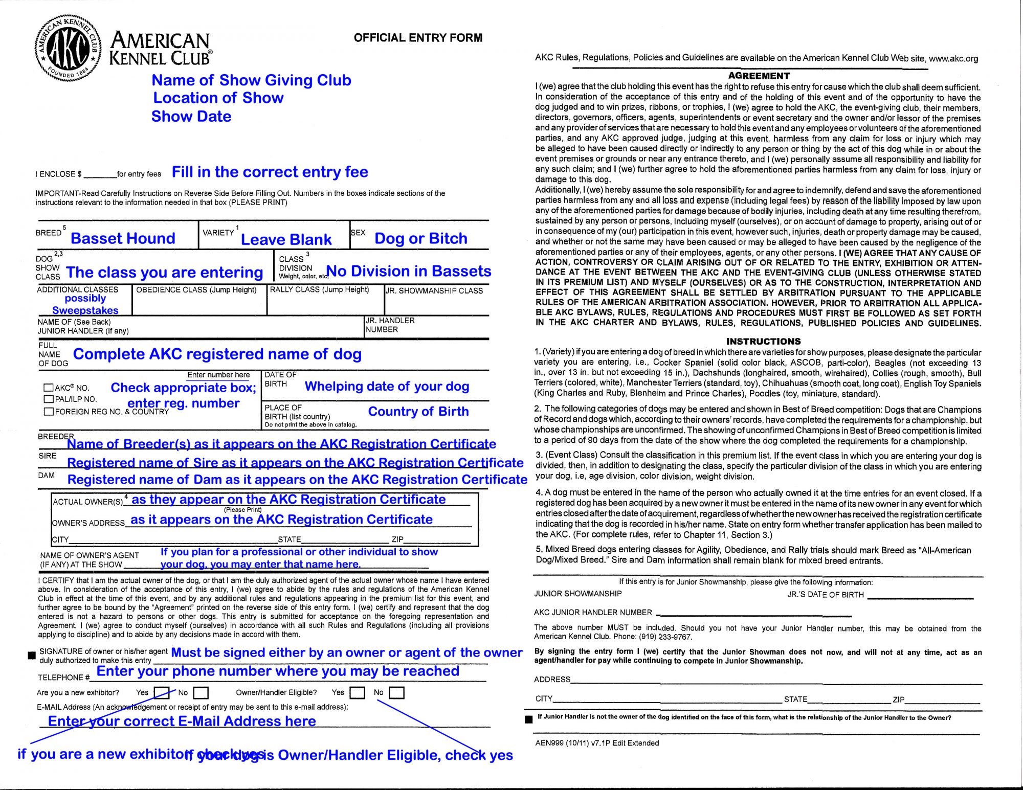 Basset Hound Club of America All About Dog Shows